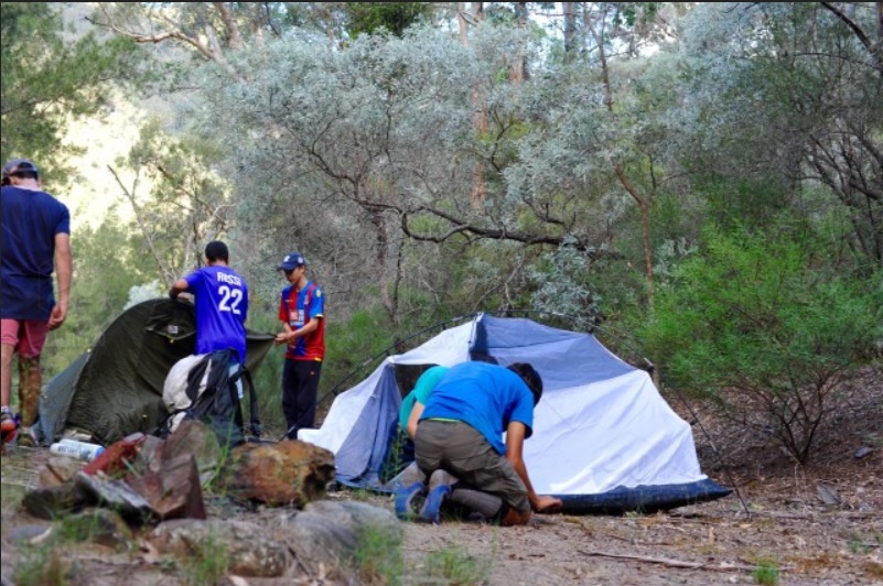 Best Camping Tips for Beginners That You Must Follow